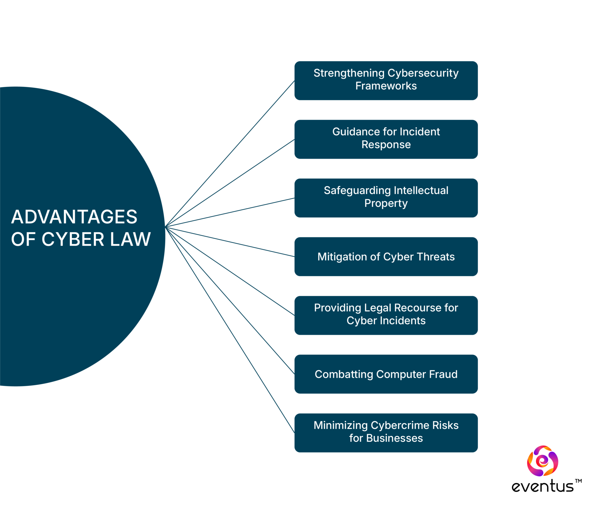 What is cyber law in cybersecurity: definition, importance, types ...